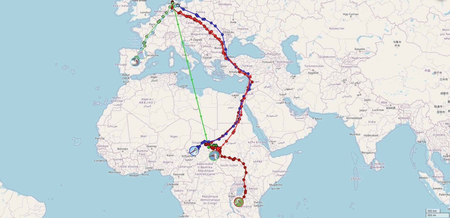 Jarní migrace začíná - Čapí hnízdo v Bohuslavicích